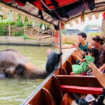 Private Trip : Ayutthaya historical venture, boat ride & lunch - The Practicalities: What’s Included and What to Expect