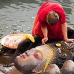 Private Trip: Kathmandu Durbar Square and Swayambhunath Stupa - Exploring Kathmandu Durbar Square: History and Architecture