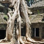 Private Tuk Tuk Tour to Angkor Wat and Small Circle with Two Extras - How the Experience Feels