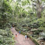 Private Ubud Day Tour - The Realities from Reviews