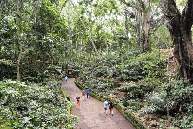 Private Ubud Day Tour - The Realities from Reviews