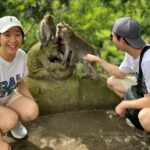 Private Ubud Monkey Forest, Waterfall, Rice Terrace and Temple - What You Can Expect from Your Day: Logistics, Comfort, and Value