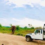 Private Udawalawe Nationalpark Jeep-Safari - Why This Tour Offers Good Value