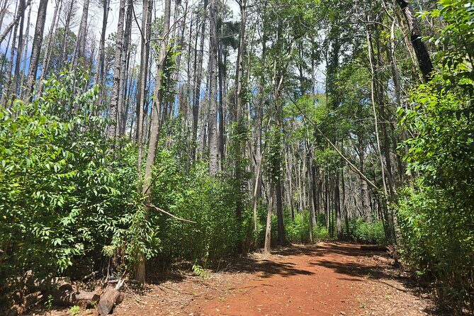 Private Upcountry Hiking Tour - What’s Included and What’s Not