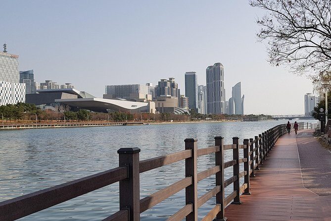 (Private Vehicle) Busan Tailored Tour: Curation for Food,Design,History,Culture - Haeundae Dalmaji-gil Road: Tea with a View