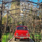 Private Vintage Fiat 500 Tour in Chianti From Florence - The Sum Up: Is This Tour Worth It?