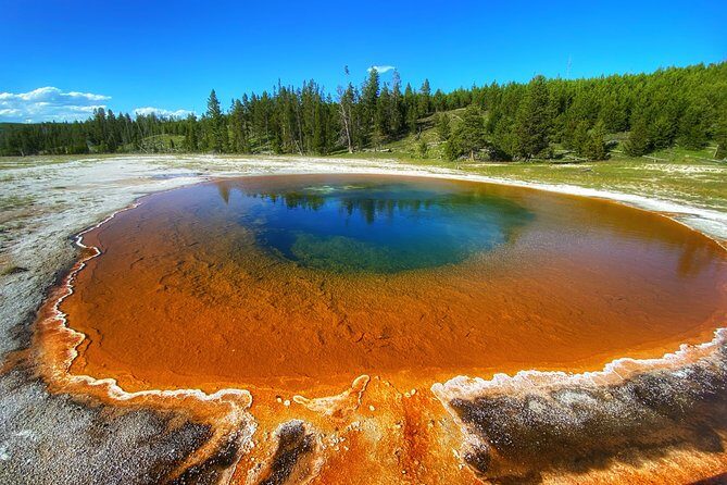 Private VIP Boutique Yellowstone Day Tour from Gardiner MT - Transportation, Timing, and Overall Experience