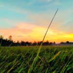 PRIVATE VIP Mekong Delta 1 Day with Biking,Fishing,Cooking ,BBQ - NON Touristic - Who Will Love This Tour?