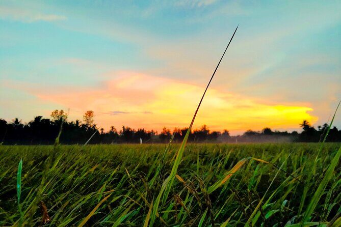 PRIVATE VIP Mekong Delta 1 Day with Biking,Fishing,Cooking ,BBQ - NON Touristic - Who Will Love This Tour?