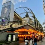 Private Walking Tour in Tokyo - Perfect for First-Time Visitors - Who Should Consider This Tour?