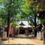 Private walking Tour in Tokyo with a Local Guide - Who Would Love This Tour?