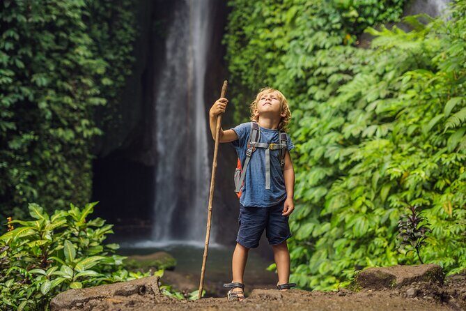 Private Waterfalls Tour in North Bali - Why Choose This Tour?