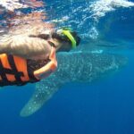 Private Whale Shark Tour from Playa del Carmen - Why This Tour Is Worth It