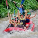 Private White Water Rafting Ubud with Bali Swing Including Hotel pick up - How the Tour Plays Out: Step-by-Step