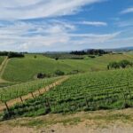 Private Wine Tour best of Chianti Tuscany 6 hours Limo Service - Why Choose This Tour?