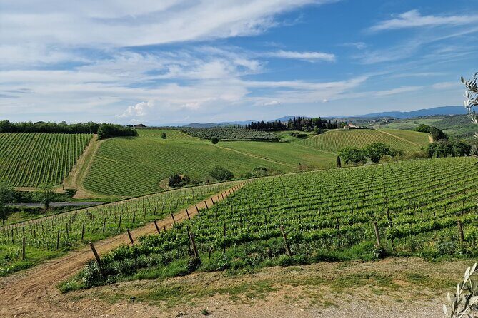Private Wine Tour best of Chianti Tuscany 6 hours Limo Service - Why Choose This Tour?