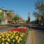 Private Winery Tour of Niagara-on-the-Lake - The Fine Print: Details That Matter