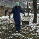 Private Wolong Panda Base and Earthquake Site Day Tour - Is This Tour Right for You?