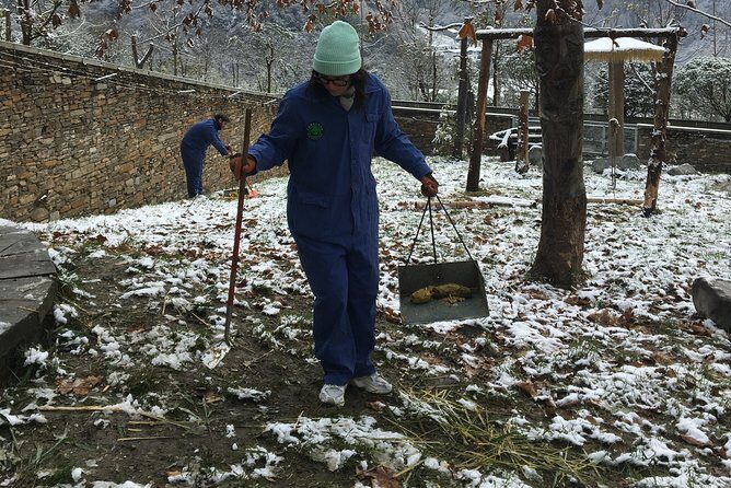 Private Wolong Panda Base and Earthquake Site Day Tour - Is This Tour Right for You?