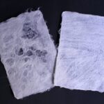 Private Workshop for Making Paper Last 1,000 years in Ueno - Who Will Enjoy This?