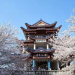 Private Wuxi Day Trip from Nanjing by Bullet Train - The Practical Side: What Makes This Tour Valuable