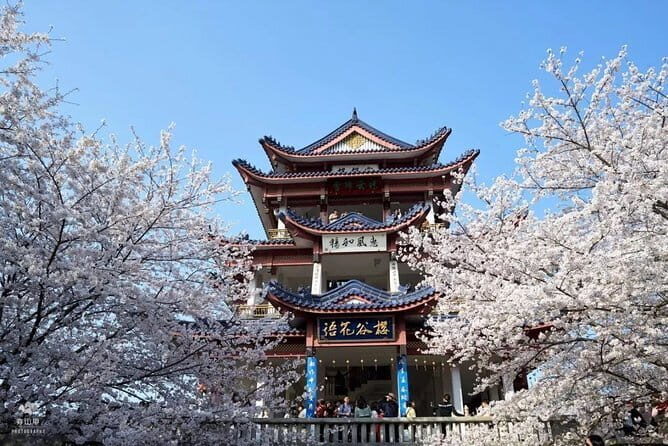 Private Wuxi Day Trip from Nanjing by Bullet Train - The Practical Side: What Makes This Tour Valuable