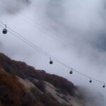 Private Xi'an 3-Day Highlights Tour and Panda Protection Park - Who Should Consider This Tour?