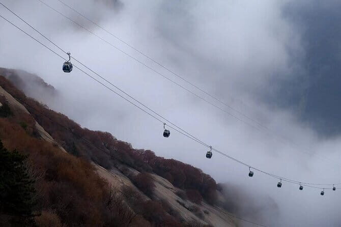 Private Xi'an 3-Day Highlights Tour and Panda Protection Park - Who Should Consider This Tour?