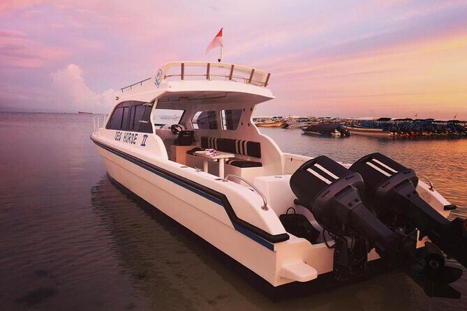 Private Yacht Trip Tour Bali - 8 Hours Day Trip Nusa Penida - SH2 - Frequently Asked Questions