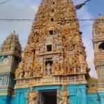 Privet Full-day Sightseeing Tour of Colombo - Transportation and Group Dynamics