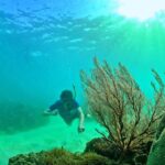 PRO-SNORKELING to Explore The Coral Jungle REEF (MAX 10 PAX) - What We Loved About This Snorkeling Tour