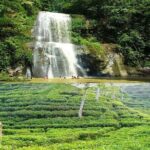 Professional tour guide hire in Sreemangal - Key Points