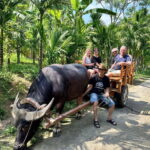 Pu Luong: Bamboo Bridge, Cooking Class & Buffalo Ride - What Makes This Tour Stand Out?