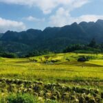 Pu Luong Nature Reserve 2 Days 1 Night Tour from Hanoi - Accommodation Dynamics