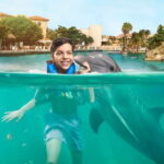 Puerto Aventuras: Dolphin Swim, Sea Lions, Manatees, & Lunch - Analyzing Value & Practical Considerations