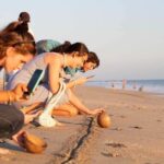 Puerto Escondido: Baby Turtle Release Tour - The Details That Make a Difference