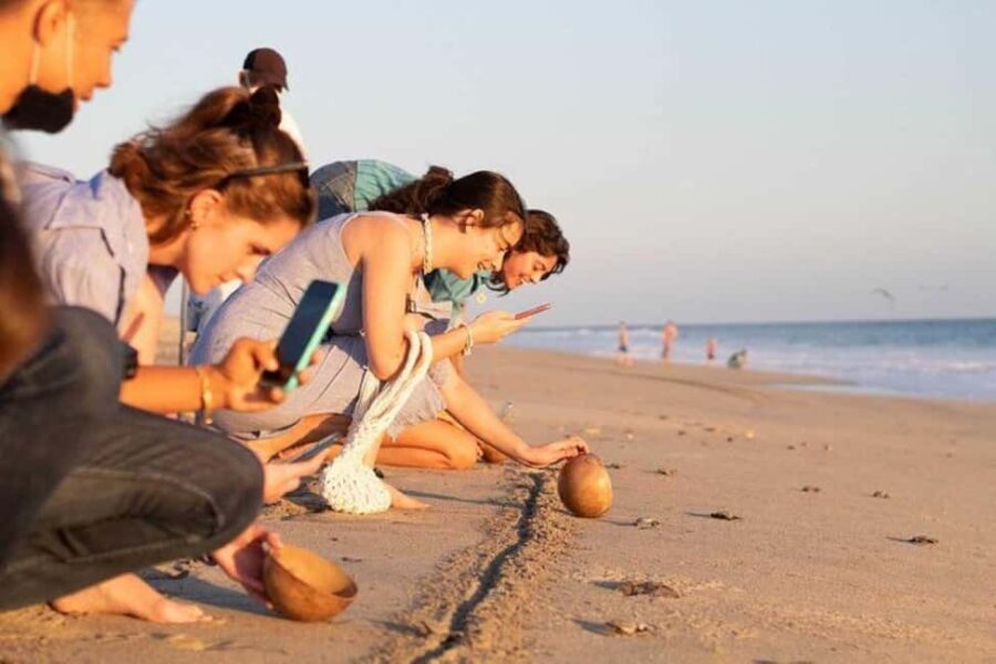 Puerto Escondido: Baby Turtle Release Tour - The Details That Make a Difference