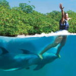 Puerto Morelos: Swim with dolphins Primax - Details of the Tour Itinerary