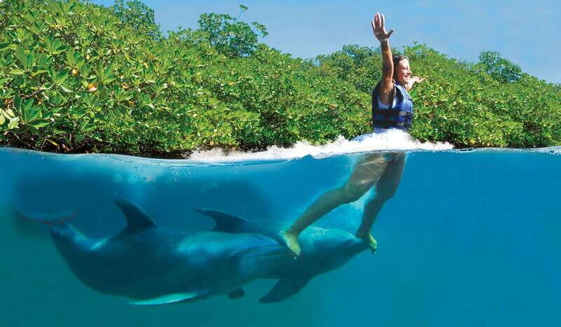 Puerto Morelos: Swim with dolphins Primax - Details of the Tour Itinerary