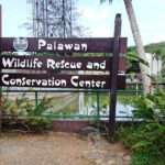 Puerto Princesa City Tour (private) - What to Expect from the Puerto Princesa City Tour