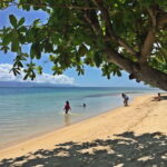 Puerto Princesa: Cowrie Island Guided Day Tour with Meal - Authentic Reviews: What Travelers Say