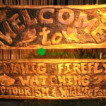Puerto Princesa Firefly Watching (shared tour) - Why We Love This Tour