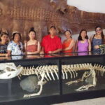 Puerto Princesa; Half day City tour - Final Thoughts on This Puerto Princesa Half-Day Tour