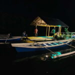 Puerto Princesa: Jungle Firefly Watching Boat Tour & Dinner - Final Thoughts