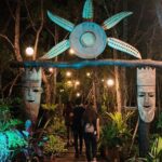 Puerto Princesa Jungle River Firefly Watching - What To Expect from the Tour