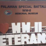 Puerto Princesa: Museum and Heritage Tour - Who Will Love This Tour?