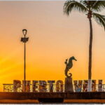 Puerto Vallarta: Exclusive Dive Adventure - The Practical Side: Logistics and Value