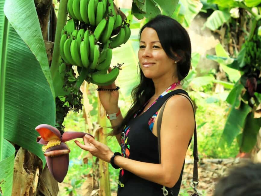 Puerto Vallarta: Hands-on Farm Experience from Cow to Cheese - Practical Details and Considerations