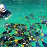 Puerto Vallarta Snorkeling at Arcos and Animas or Quimixto - The Practical Side: Pricing, Duration, and What to Bring