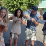 Puerto Vallarta: Taco Tour and Tequila Experience - Walking Through Agave Fields